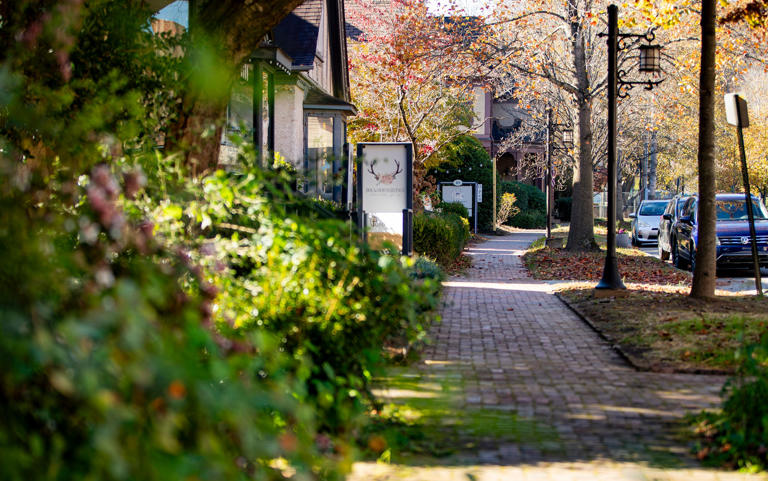 When might Asheville's post-Helene small business program begin?