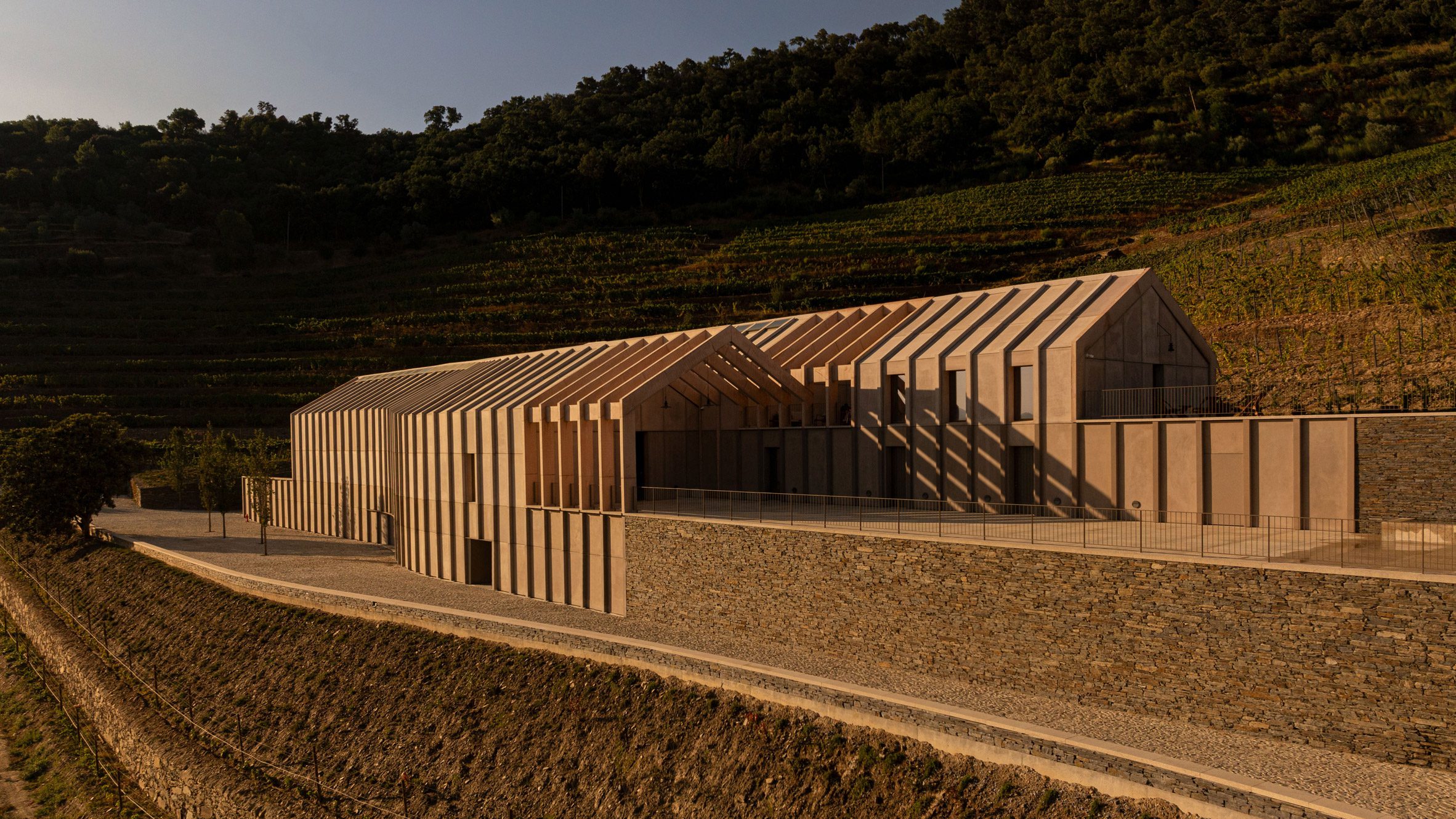 Atelier Sérgio Rebelo encases Portuguese winery in sinuous timber frame