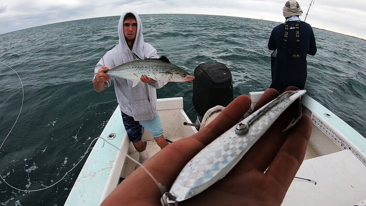 Mackerel can’t resist this lure