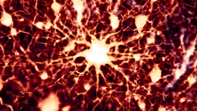 Scientists found 2 existing drugs could reverse Alzheimer's brain ...