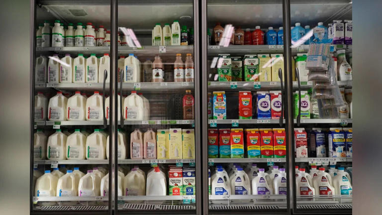 Millions could lose SNAP benefits and food stamps this month under Trump’s new plan — here’s ...