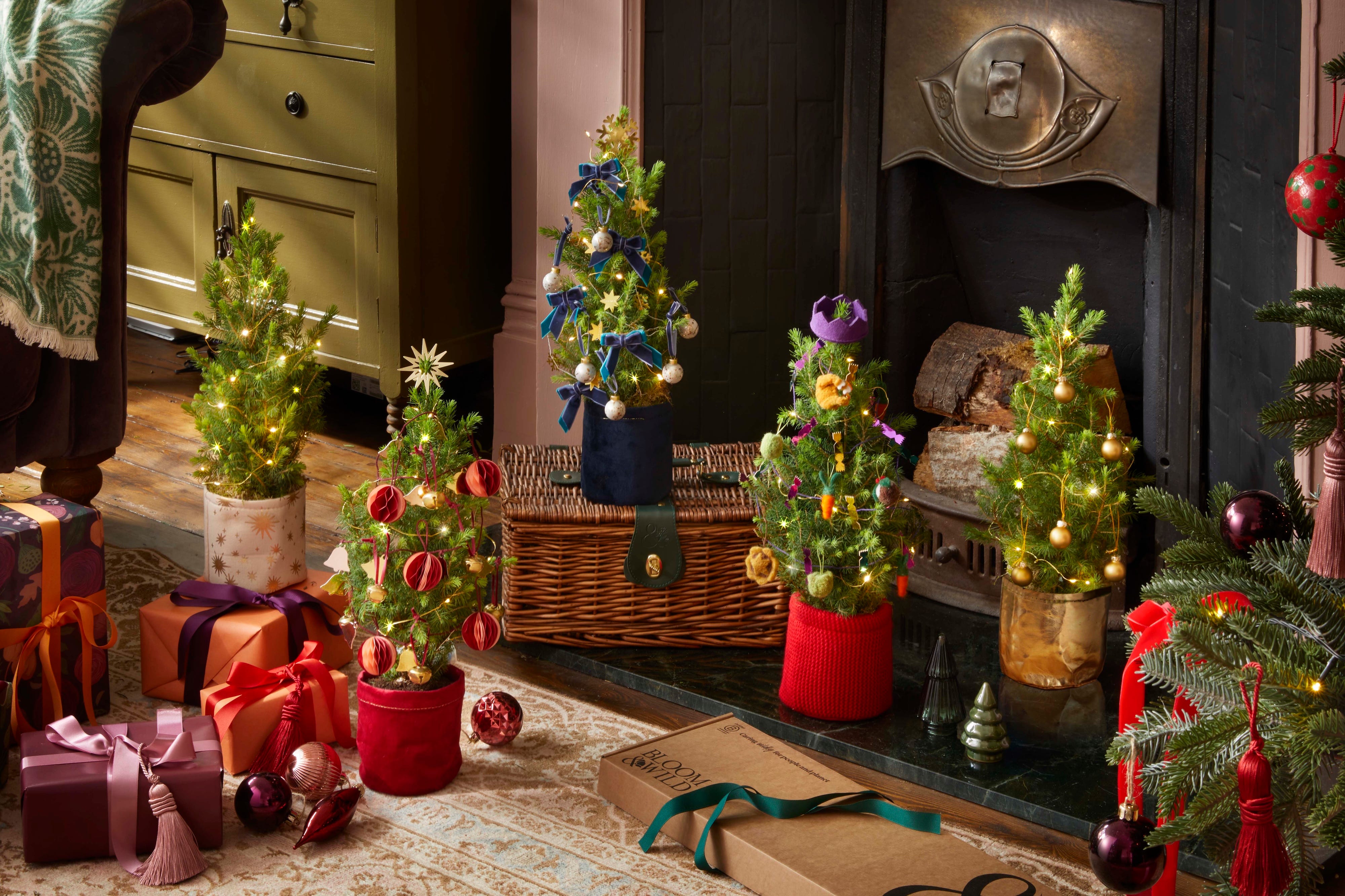 Bloom & Wild’s mini Christmas trees are back — and more magical than ever