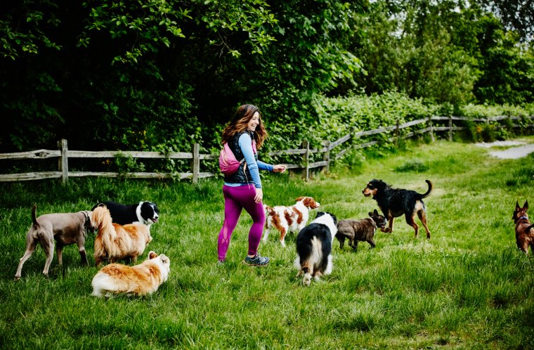 I regret my anxious whippet – his neediness has ruined my life