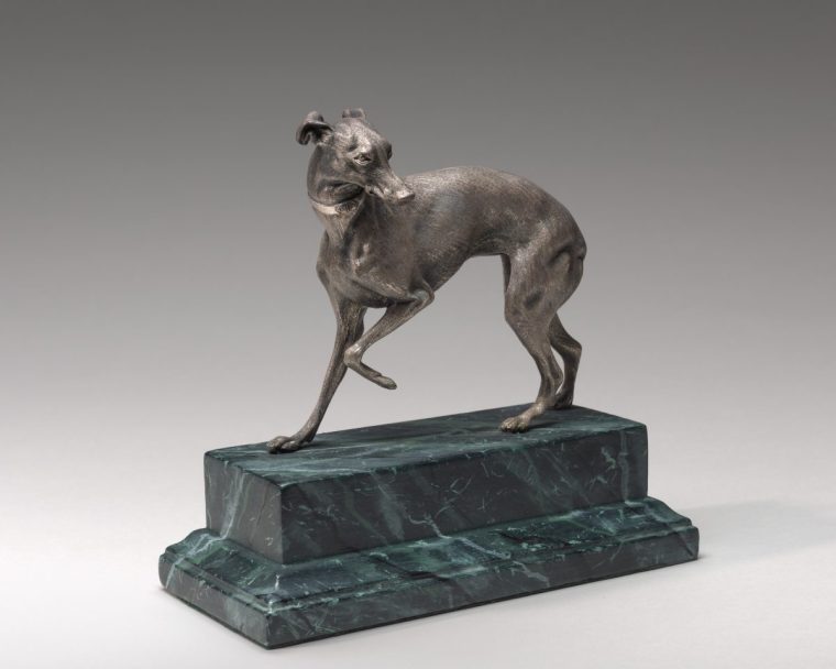 I regret my anxious whippet – his neediness has ruined my life