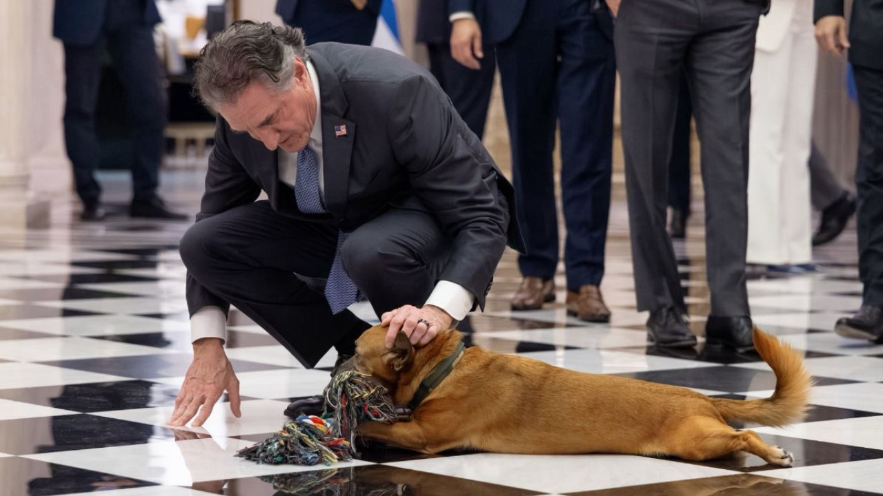 Έκλεψε την παράσταση ο Πίνατ στο Μαξίμου - Η εικόνα που ανήρτησε ο υπ ...