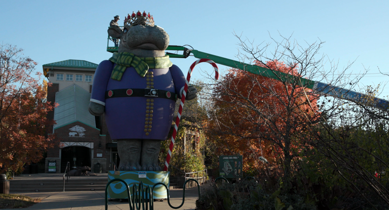 Cincinnati Zoo installs giant Fiona nutcracker statue to kick off ...