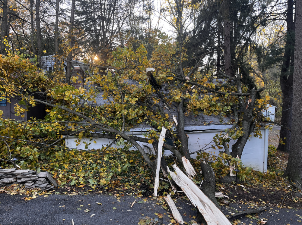Strong winds topple tree onto resident's garage