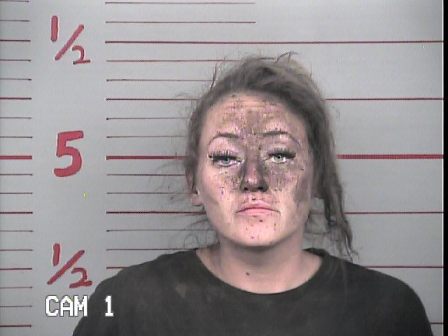 Davenport woman arrested; found between walls of Geneseo business