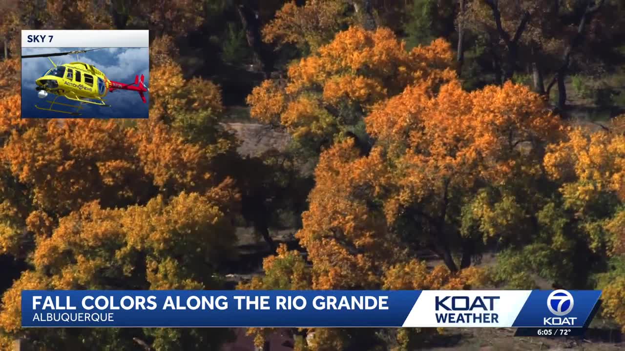 Fall colors illuminate the Rio Grande in New Mexico
