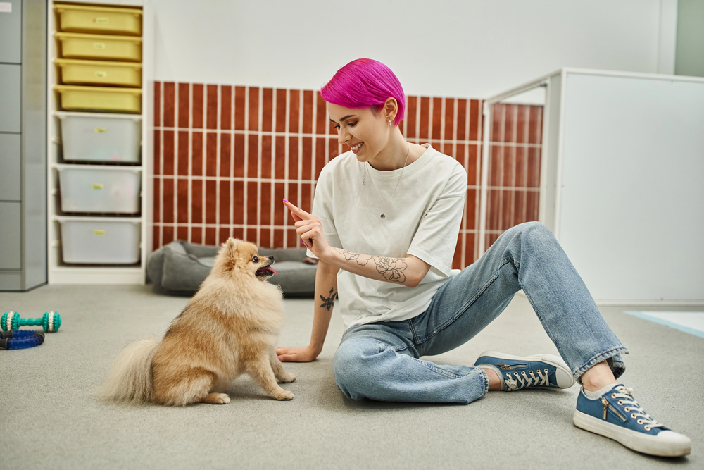 Basic Dog Obedience Commands You Can Teach