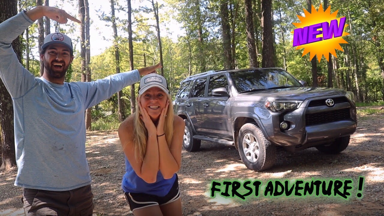 Catching wild creatures inside new car