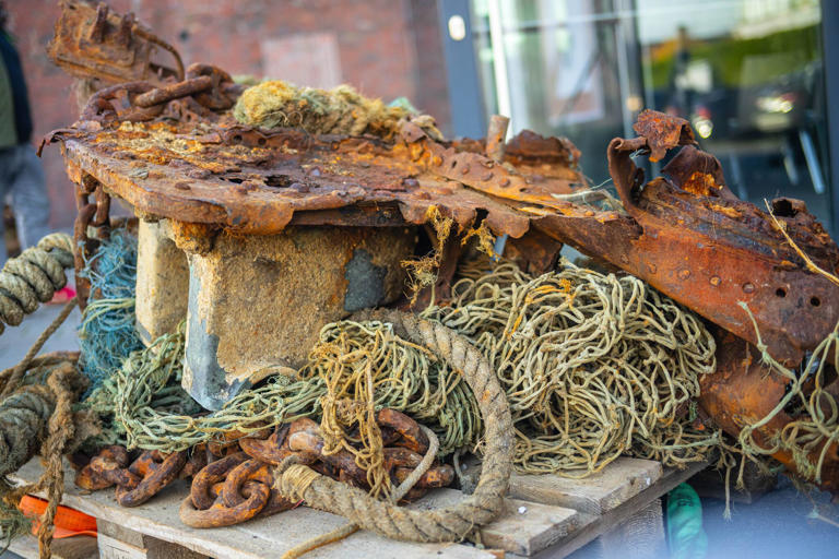 Kaiserliches U-Boot „U16“: Von Niedersachsens Meeresgrund ins Museum im ...
