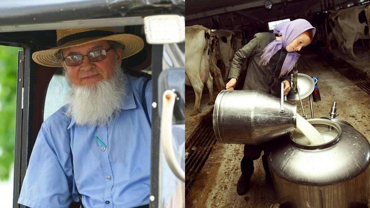 Discover what you don't know about amish culture