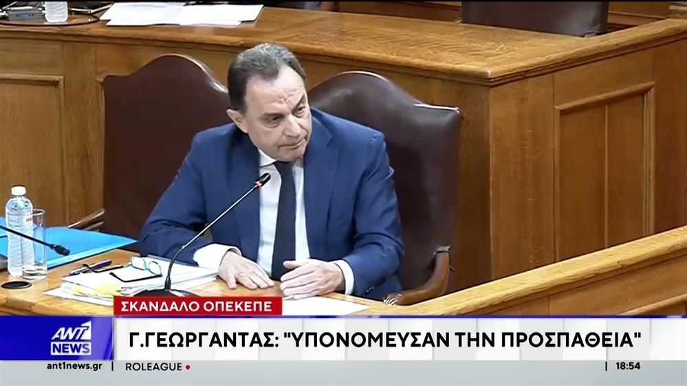 ΟΠΕΚΕΠΕ – Γεωργαντάς: Υπονόμευσαν την προσπάθεια