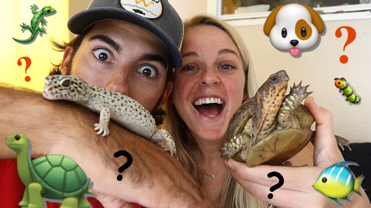 Unexpected animals discovered living with Cole & Jay