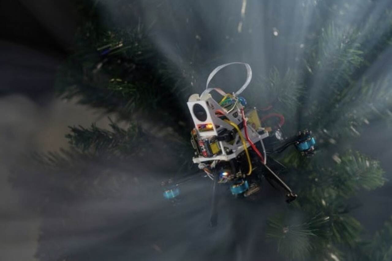 Understand How Advanced Bat-Inspired Drones Can Assist Search and ...