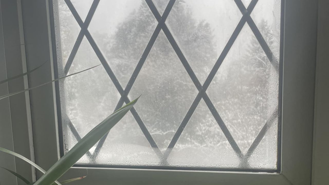 Could this 52p pantry item banish window condensation? I put it to the test