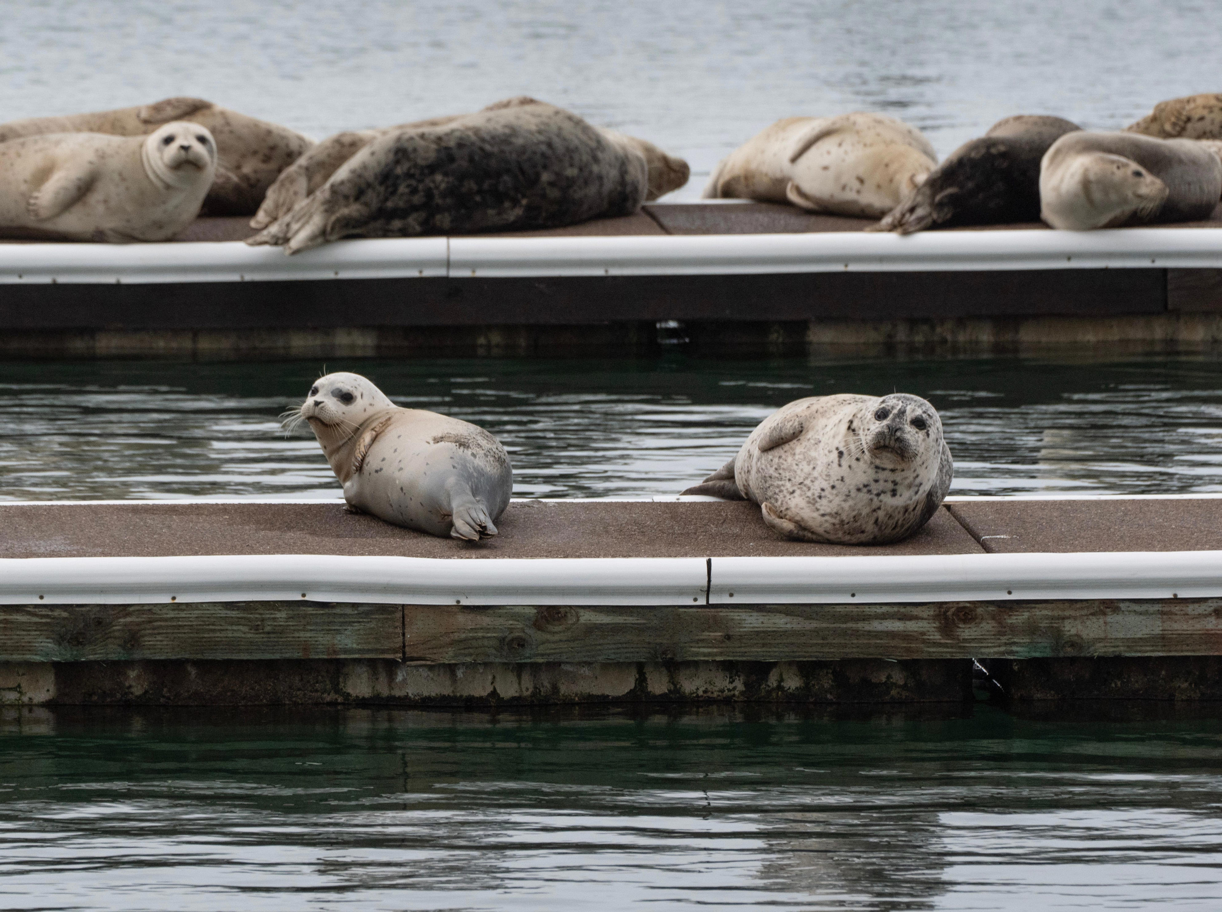 BBC names Oregon Coast as one of top travel destinations of 2026