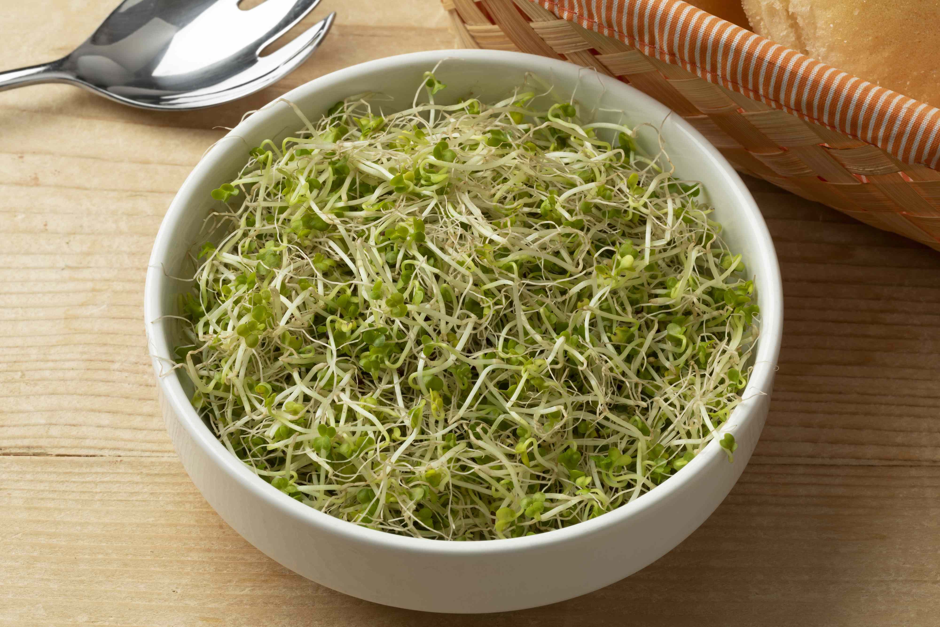 What Happens to Your Body When You Eat Broccoli Sprouts Regularly