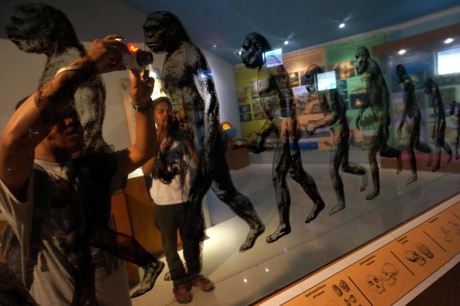 Past human species: how different were they from us?