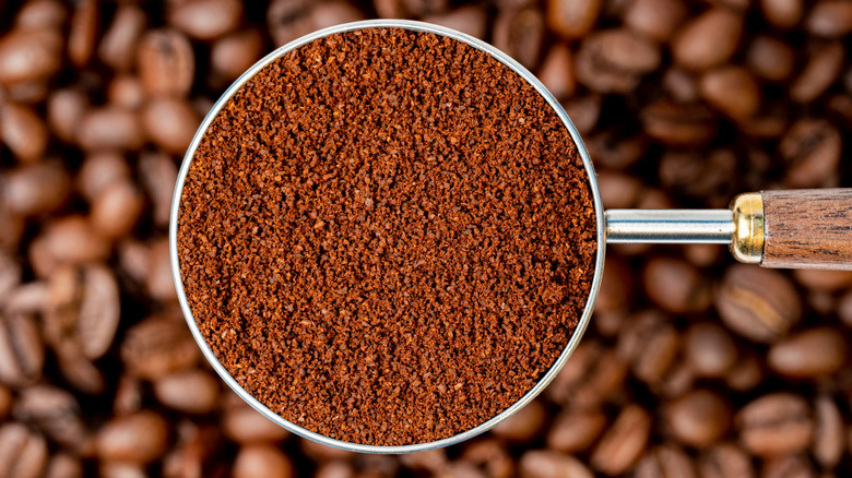 Don't Toss Those Coffee Grounds! Use Them To Fight Stubborn Kitchen ...