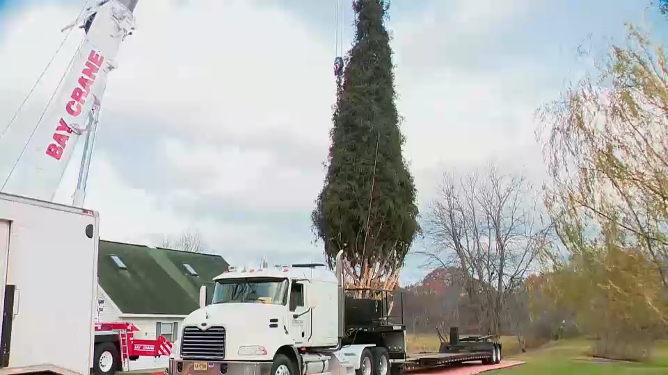 75-foot-tall Rockefeller Center Christmas tree on its way to NYC ...