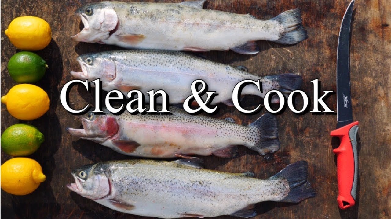 Easy Rainbow Trout Clean & Cook: Step-by-Step Guide