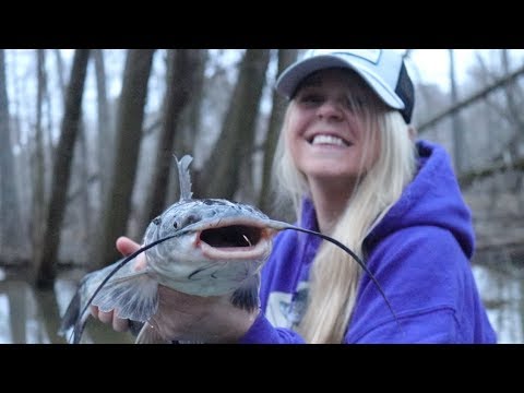 Caught big catfish and water snake on Valentine’s Day