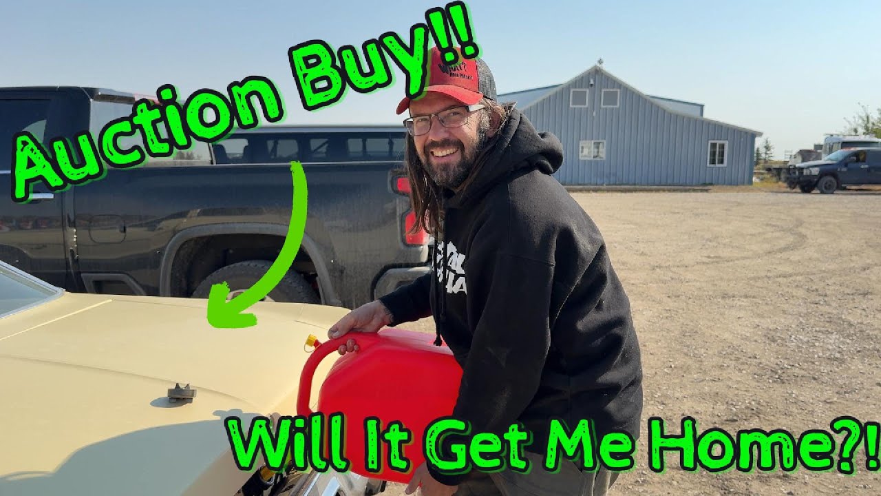 Can you believe what I found at the auction?