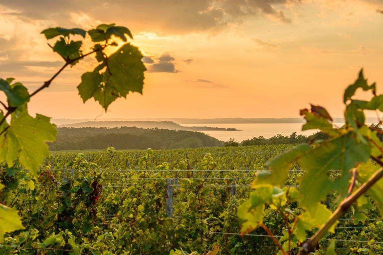 This Region Is Called the 'Napa of the Midwest'—With 40+ Wineries and ...