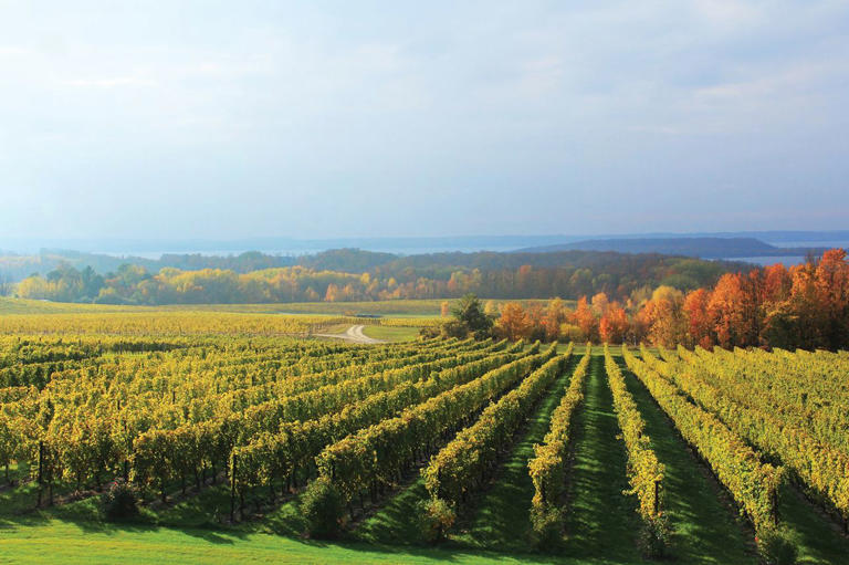This Region Is Called the 'Napa of the Midwest'—With 40+ Wineries and ...