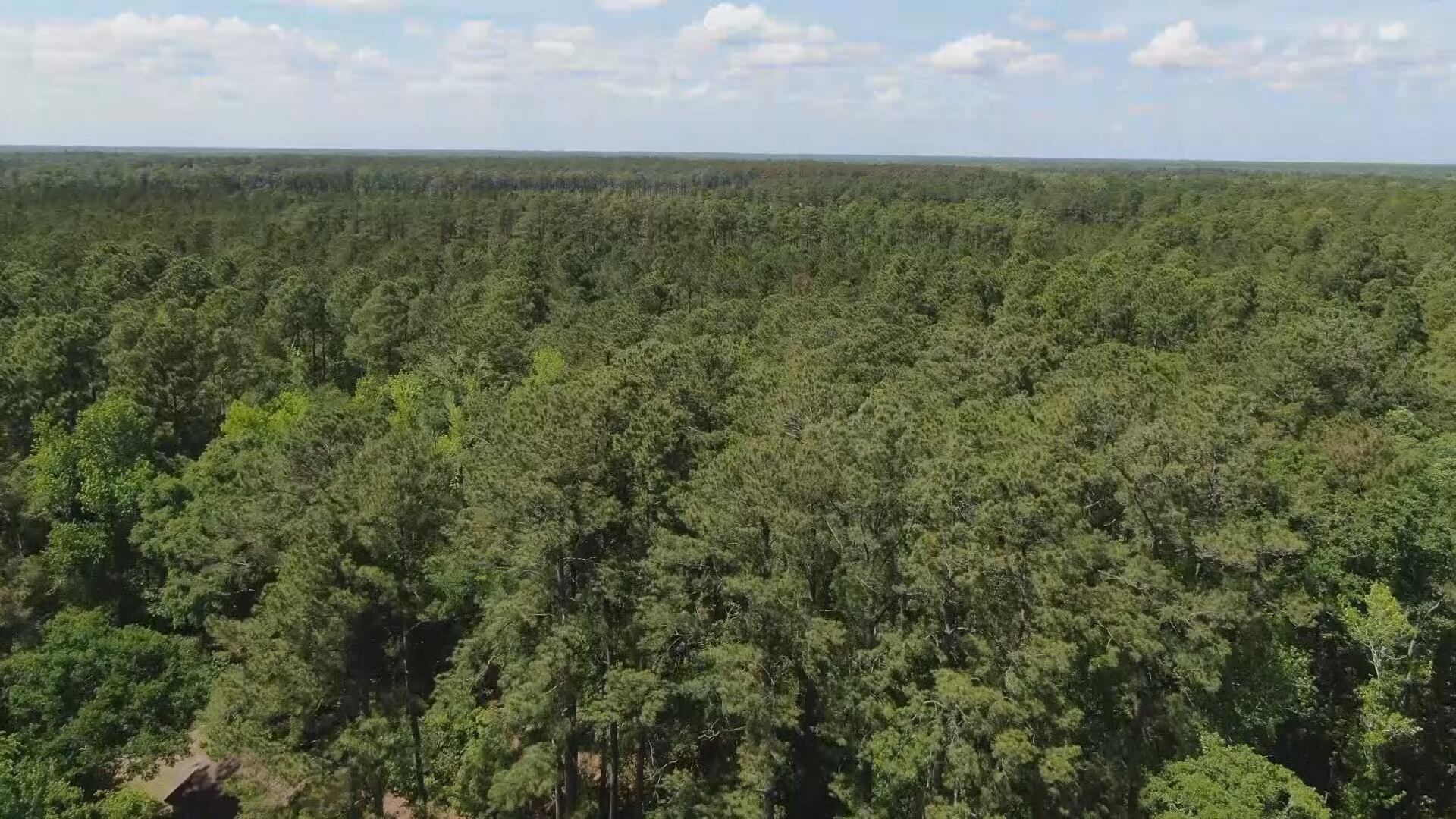 Plans for controversial Sledge Forest development chopped in half