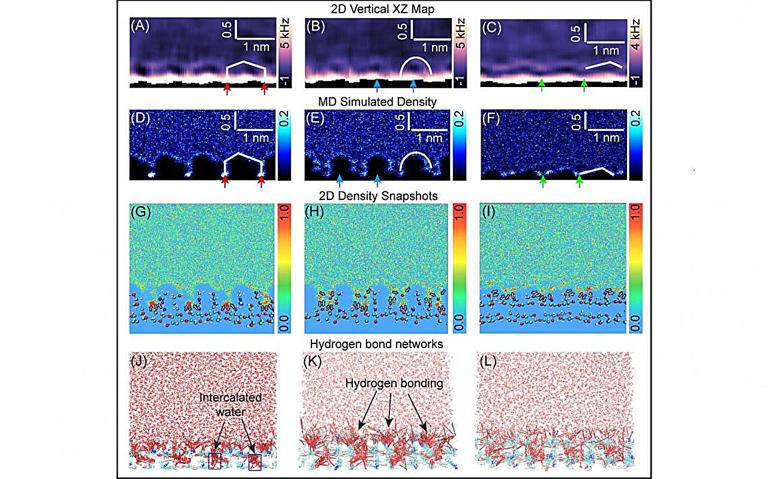 Unraveling water's effect on chitin nanocrystals