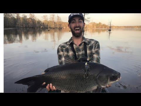 Cole catches a giant fish on his birthday