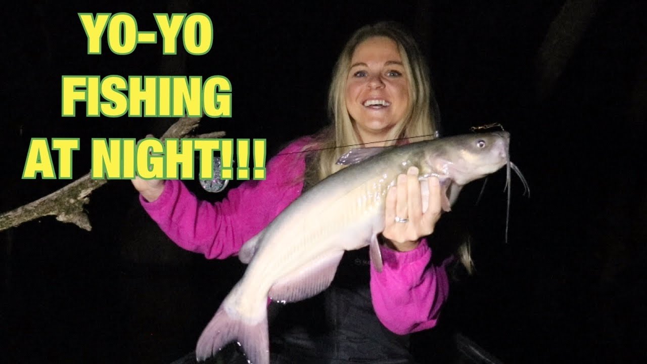 Automatic fishing reel catches big catfish