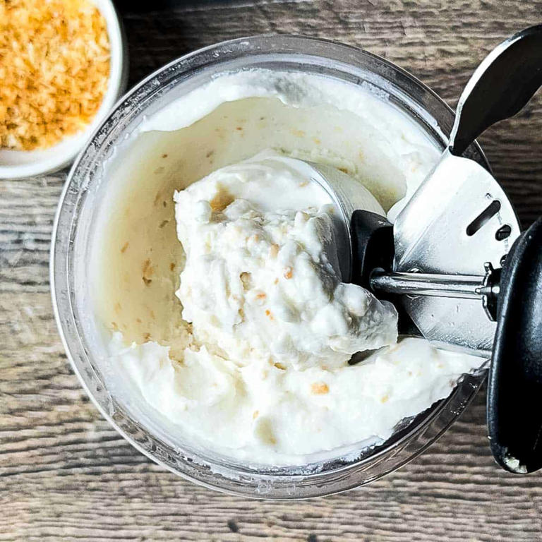 Ninja Creami Coconut Ice Cream