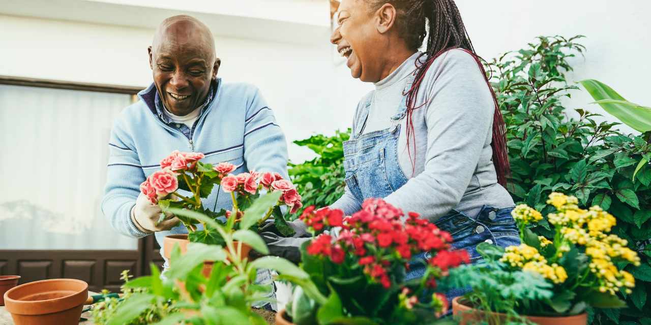 High income is ‘central’ to aging, this new study finds — for a person ...