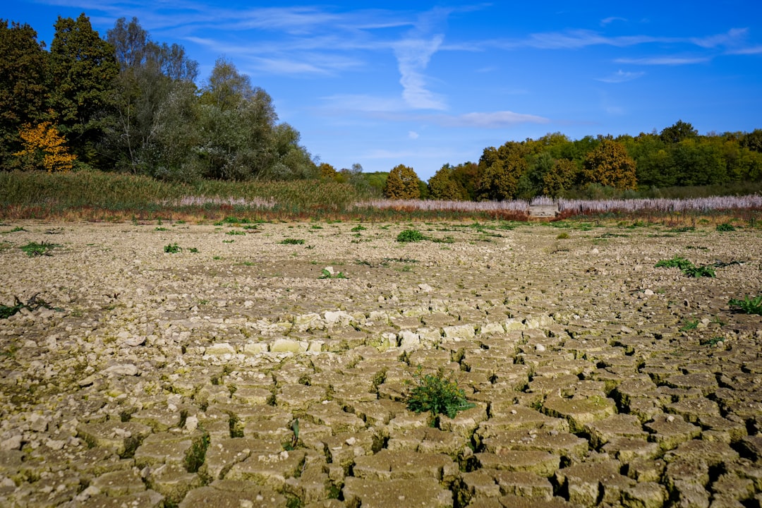 How Desertification Is Creeping Across Southern Europe's Countryside