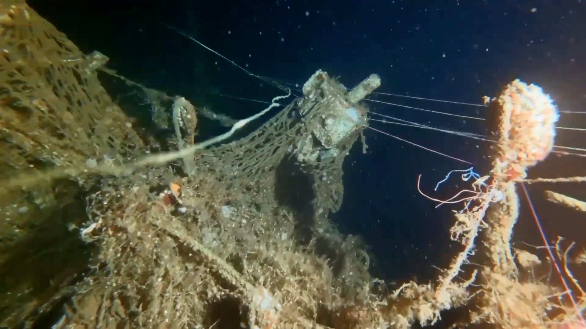 Exploring A World War I Submarine Wreck Underwater