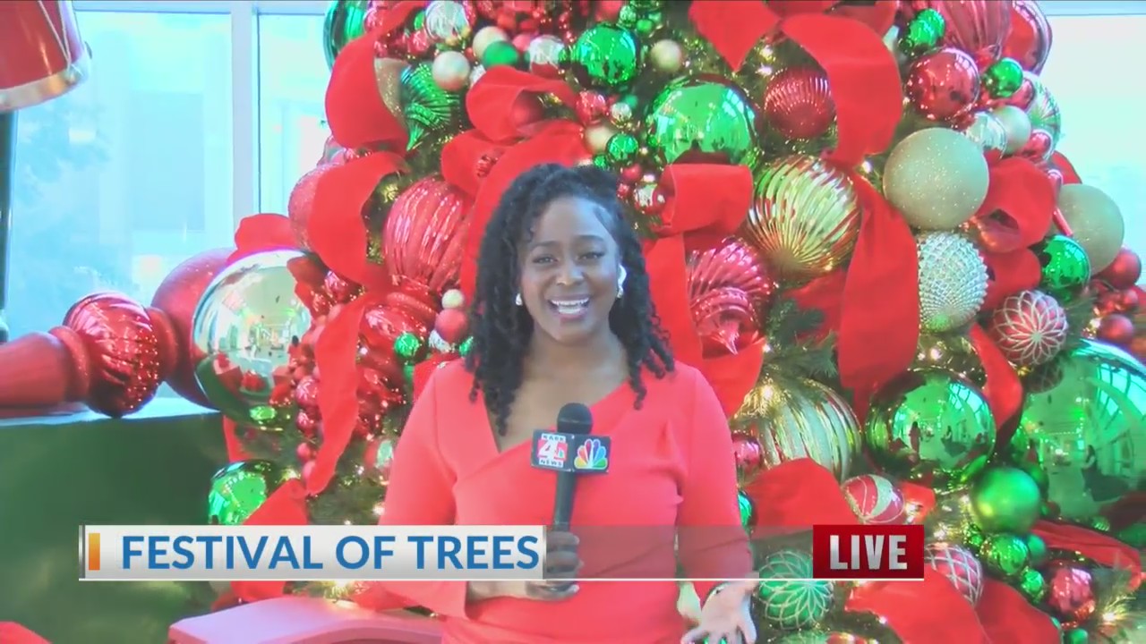 CARTI’s Festival of Trees returns to Little Rock