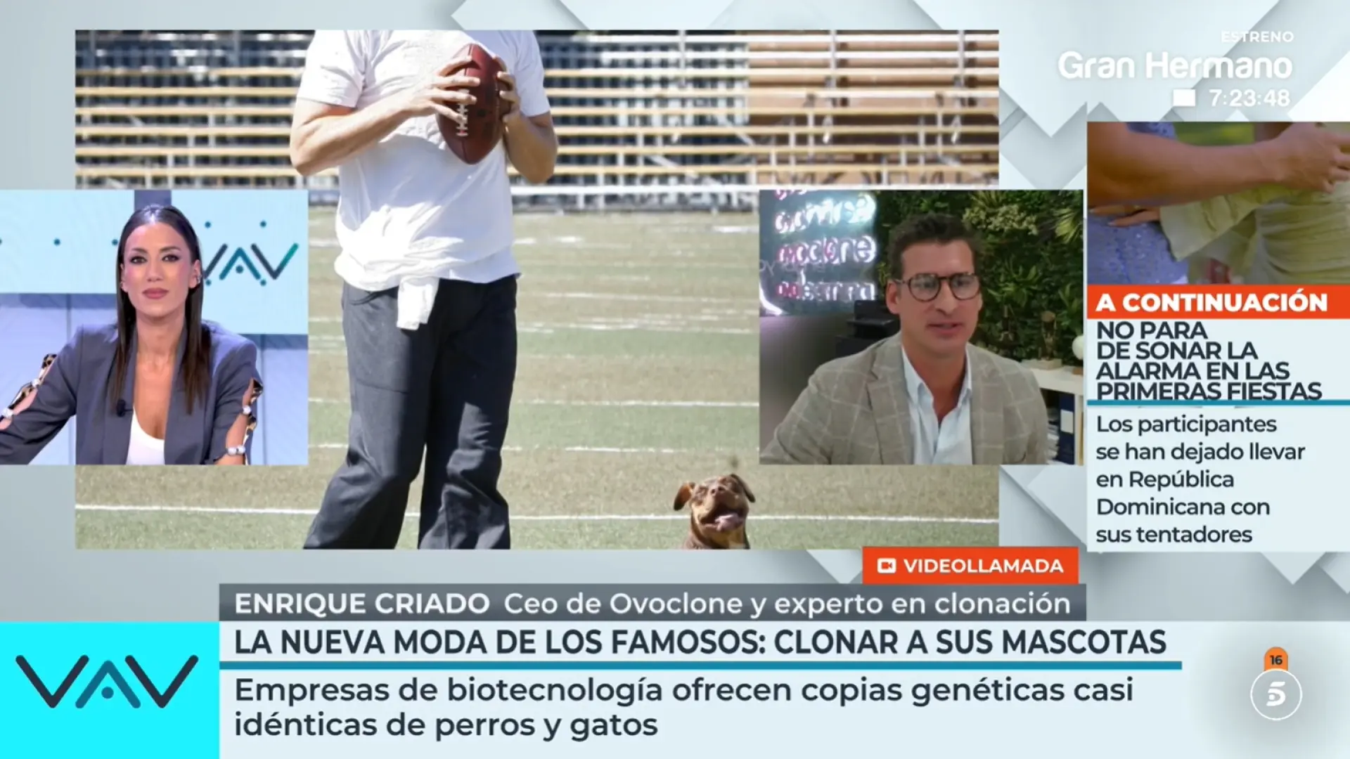 Clonar animales, la nueva moda que ha llegado a España: "Es legal. Los ...