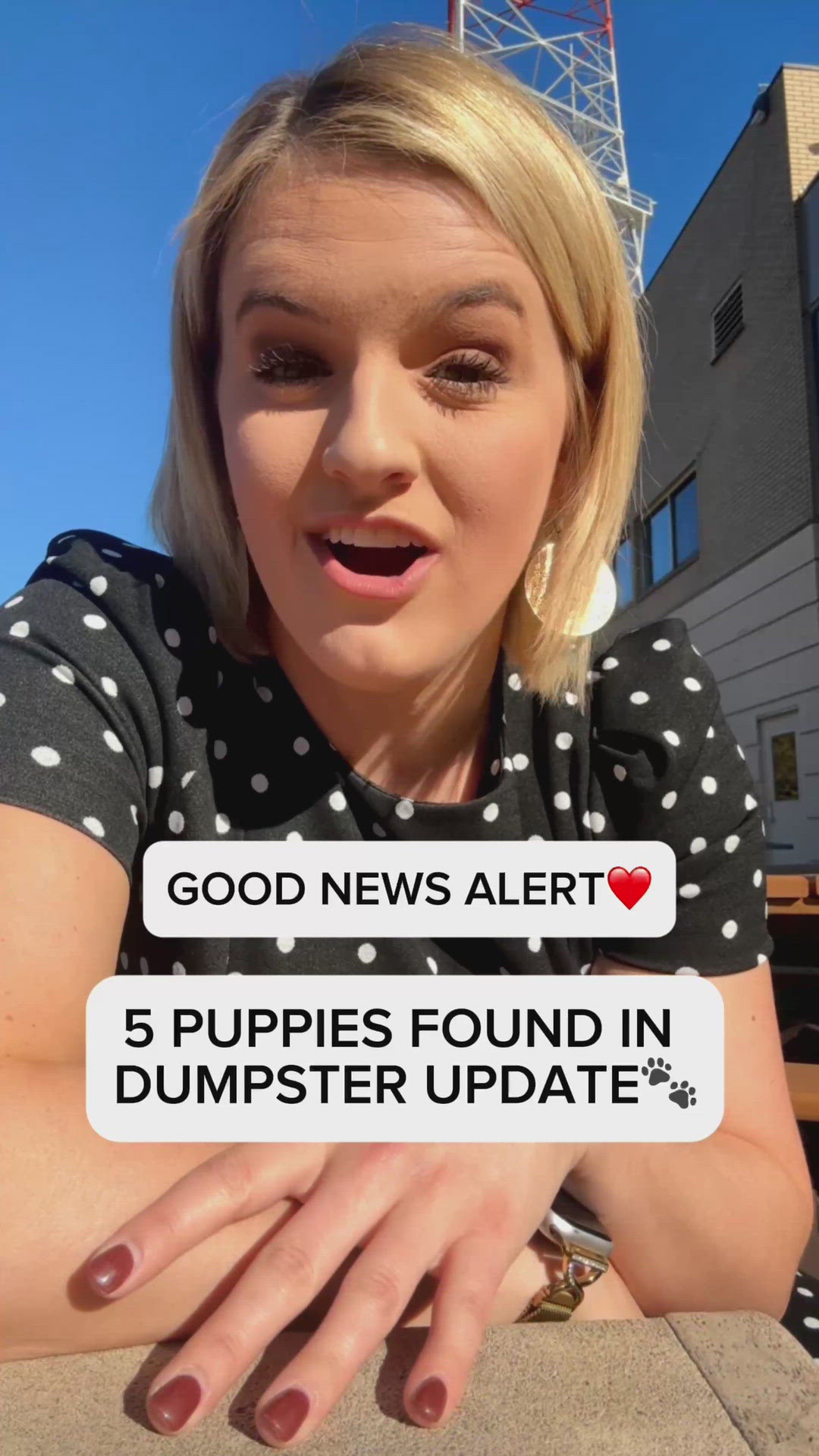 GOOD NEWS ALERT ️ 5 puppies found in dumpster update