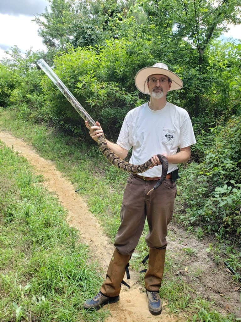 These Are the Most Venomous Snakes in North Carolina
