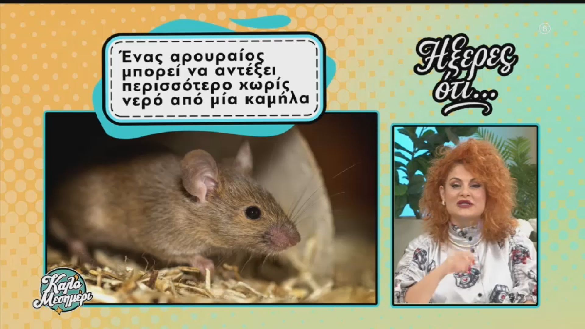 Ήξερες ότι…