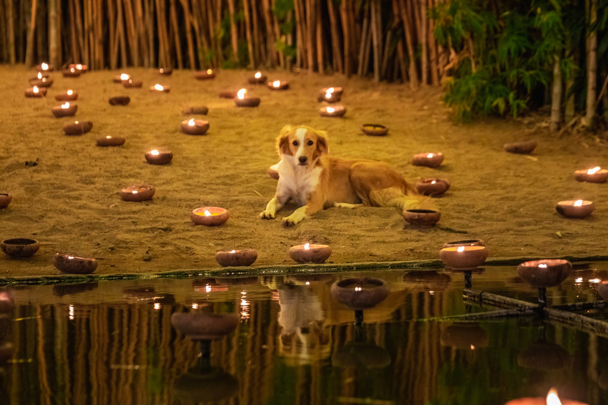 Woman’s romantic gesture goes viral—but there’s one big misunderstanding