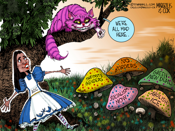Political Cartoons From Margolis & Cox