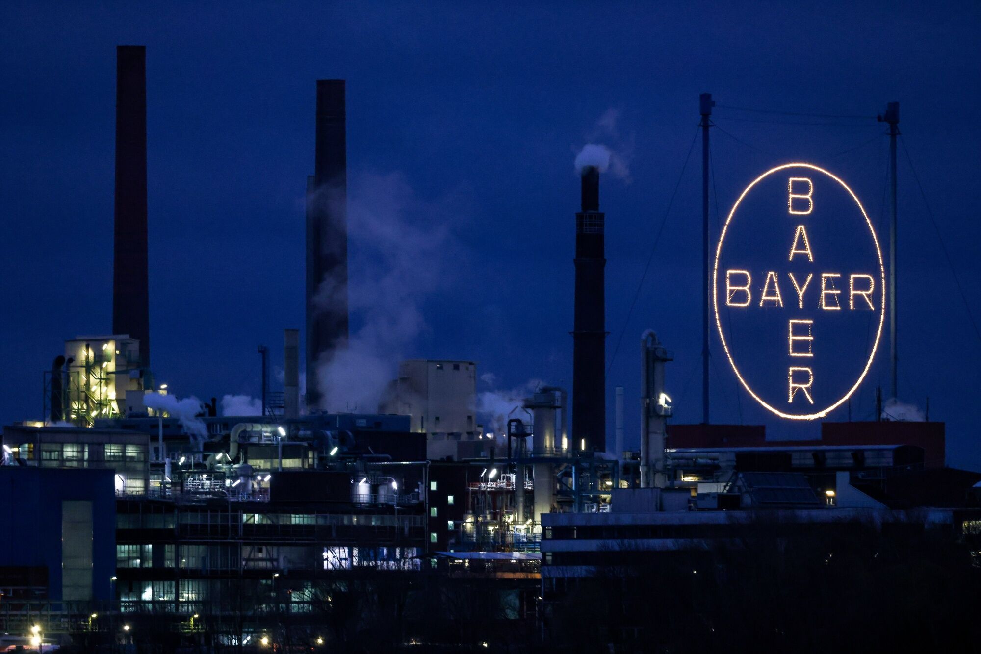 Bayer Hires Judith Hartmann as CFO in Latest Management Move