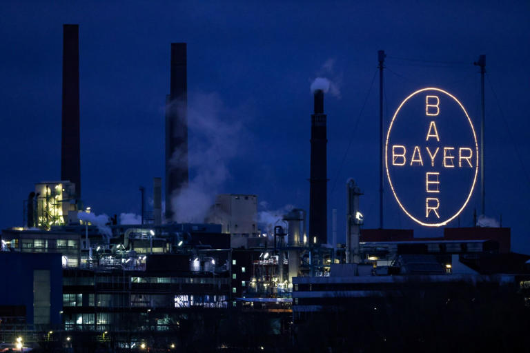 Bayer Hires Judith Hartmann as CFO in Latest Management Move