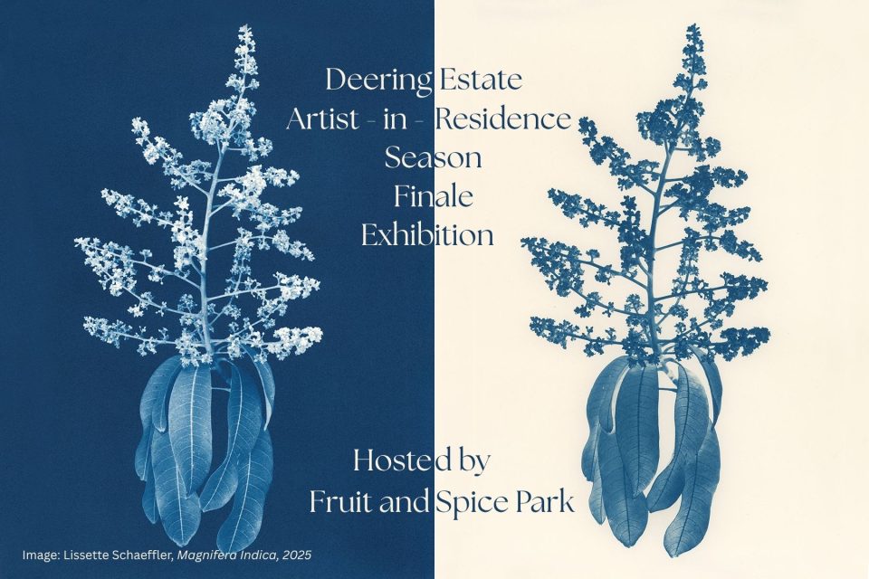 Deering Estate Artist-in-Residence season finale exhibition at Fruit ...