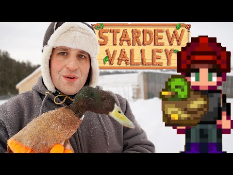 Comparing Stardew Valley with real-life farm experience
